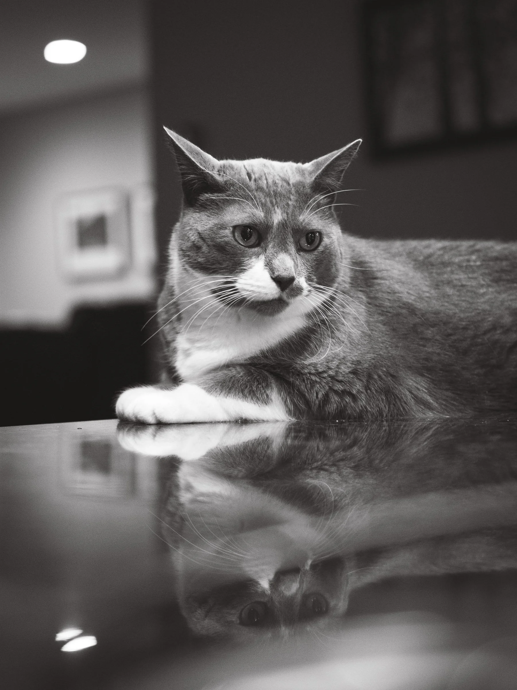 Dramatic Photos of Ned — Kevin Woodland
