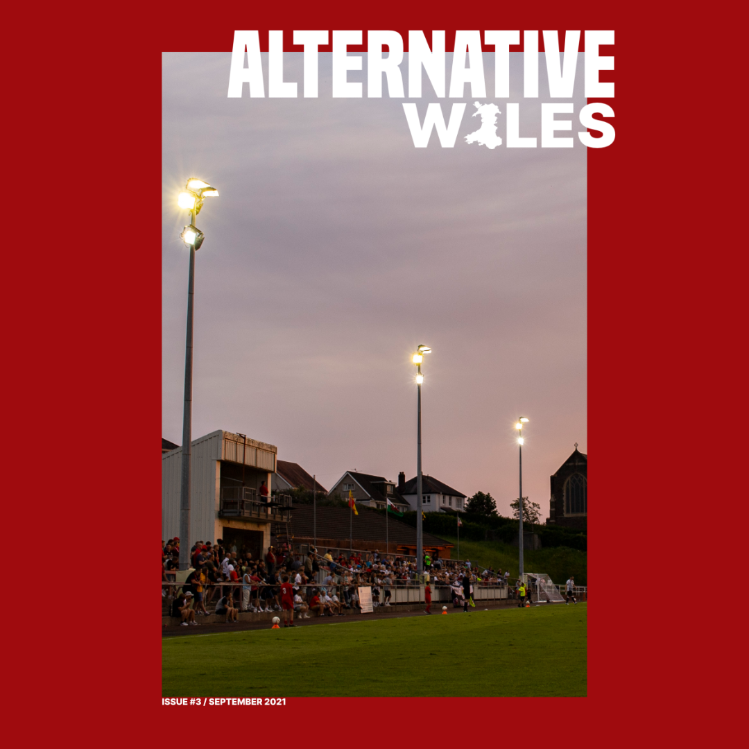 Shop — Alternative Wales