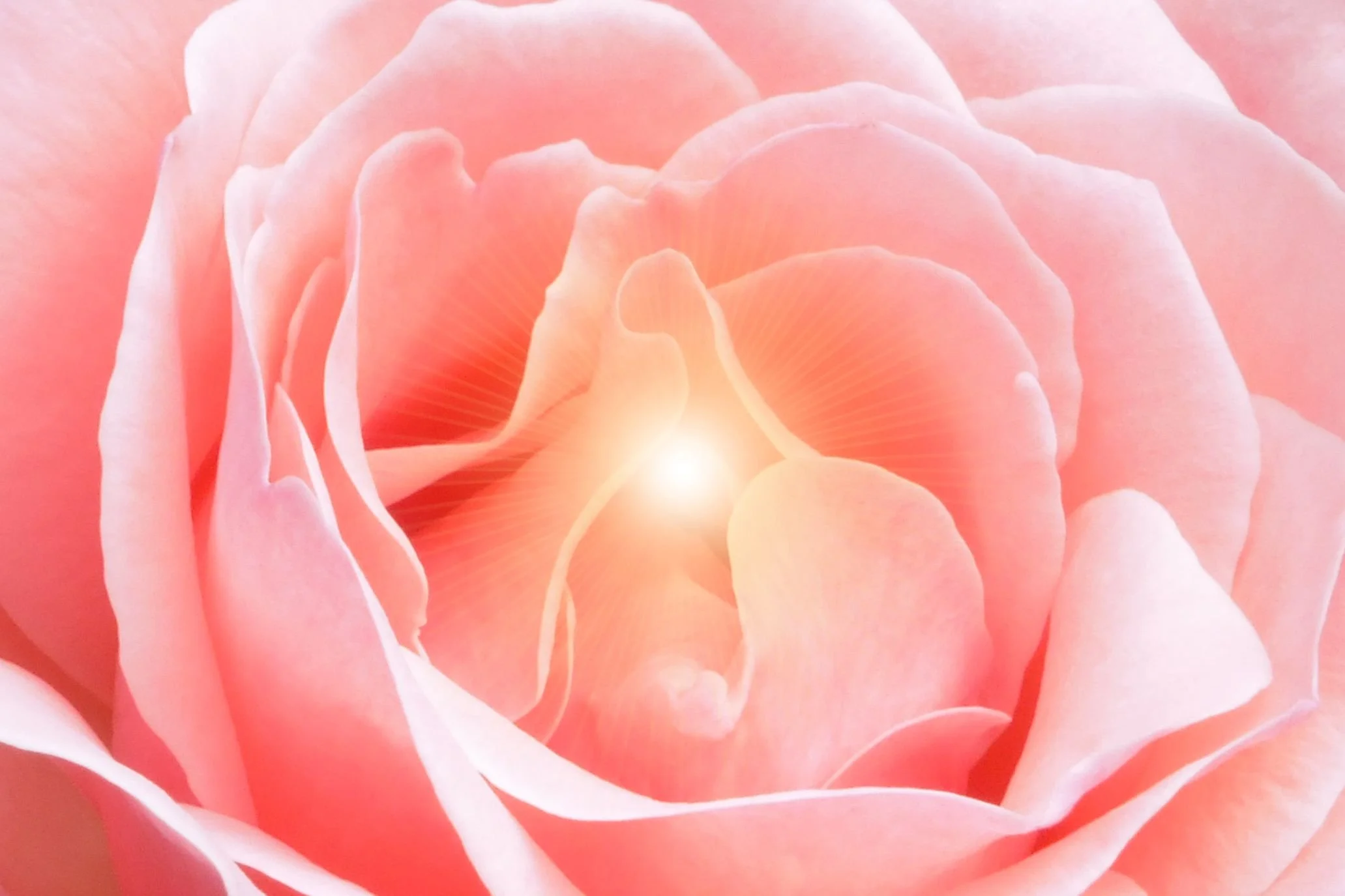 Cosmic Rose Collective: Embody your Inner Mystic — Third Eye Science