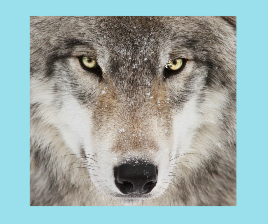 Rodnovery: An Introduction — Celebrate Pagan Holidays