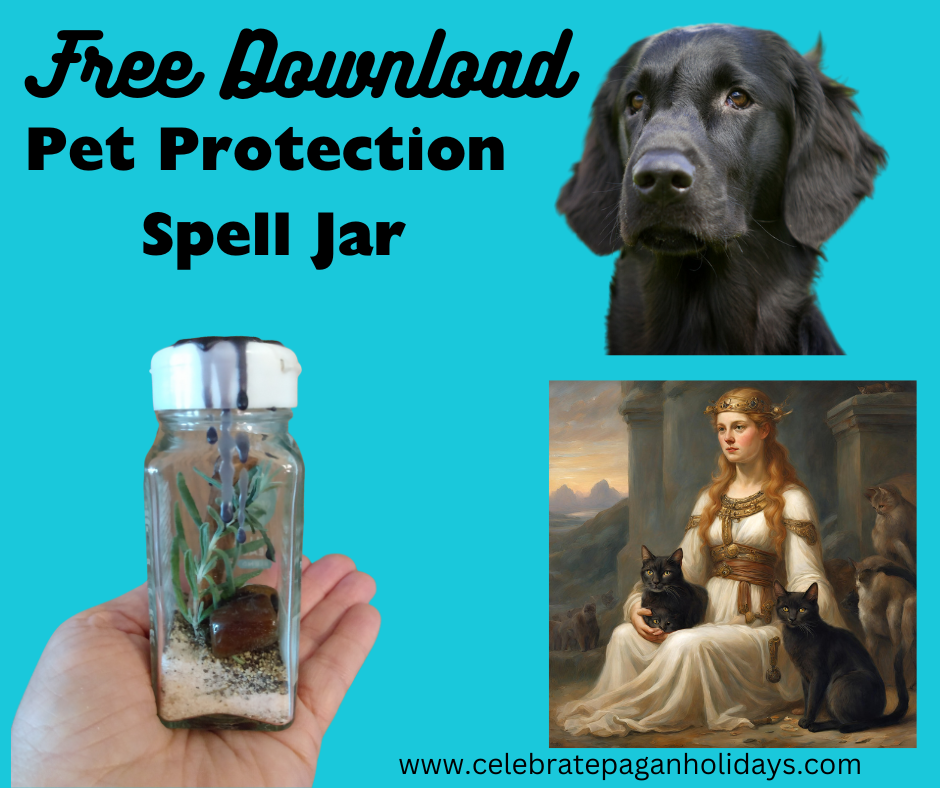 Ravens & Crows: Spirit Animals, Messengers, and Guides — Celebrate ...