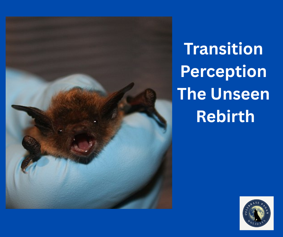 Bat Spirit Animal: A Complete Guide Symbolism, Magic, and Spiritual ...