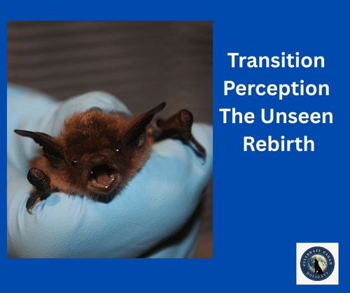 Bat Spirit Animal: A Complete Guide Symbolism, Magic, and Spiritual ...