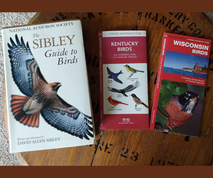 Birds And Divination: Ancient Roman Augury And Greek Ornithomancy ...