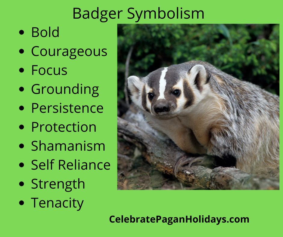 Badger Spirit Animal: Meanings and Symbolism — Celebrate Pagan Holidays