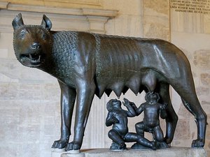 Wolf Spirit Animal: Complete Guide — Celebrate Pagan Holidays