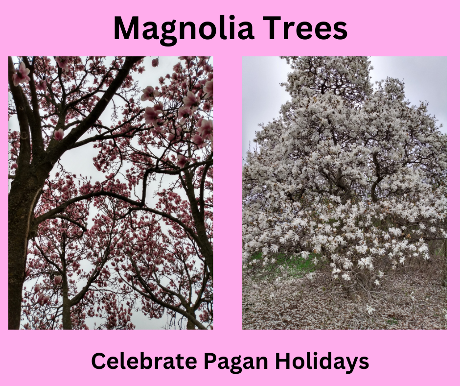 110 Magical Flowers and How To Use Them — Celebrate Pagan Holidays