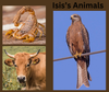 Queen of the Throne: Honoring Isis — Celebrate Pagan Holidays