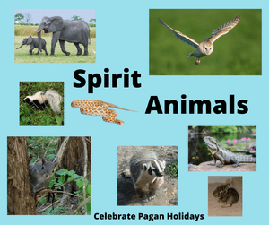 167 Animal Spirit Guides and What They Mean To You — Celebrate Pagan ...