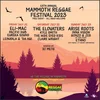 Turn up at the Mammoth Reggae Festival 2023 with big time reggae ...