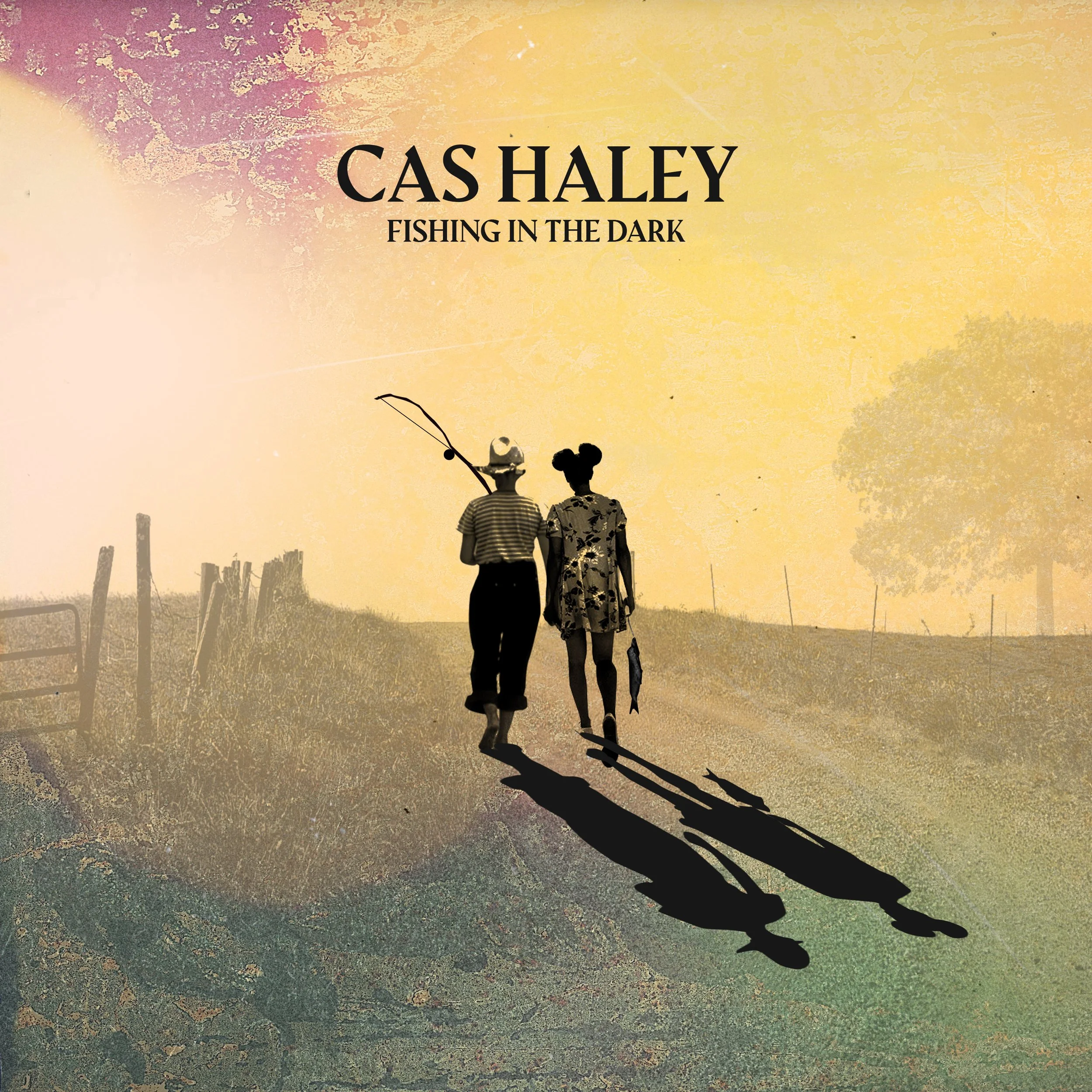 Cas Haley puts a reggae spin on Nitty Gritty Dirt Band classic in ...