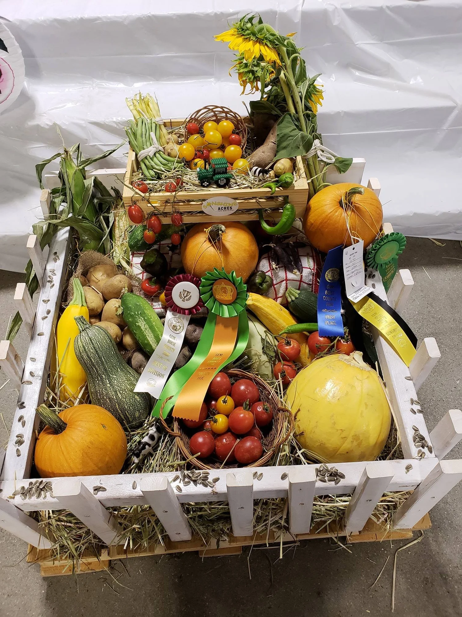 Enter the Fair! Open Class Exhibits at the Gem/Boise County Fair ...