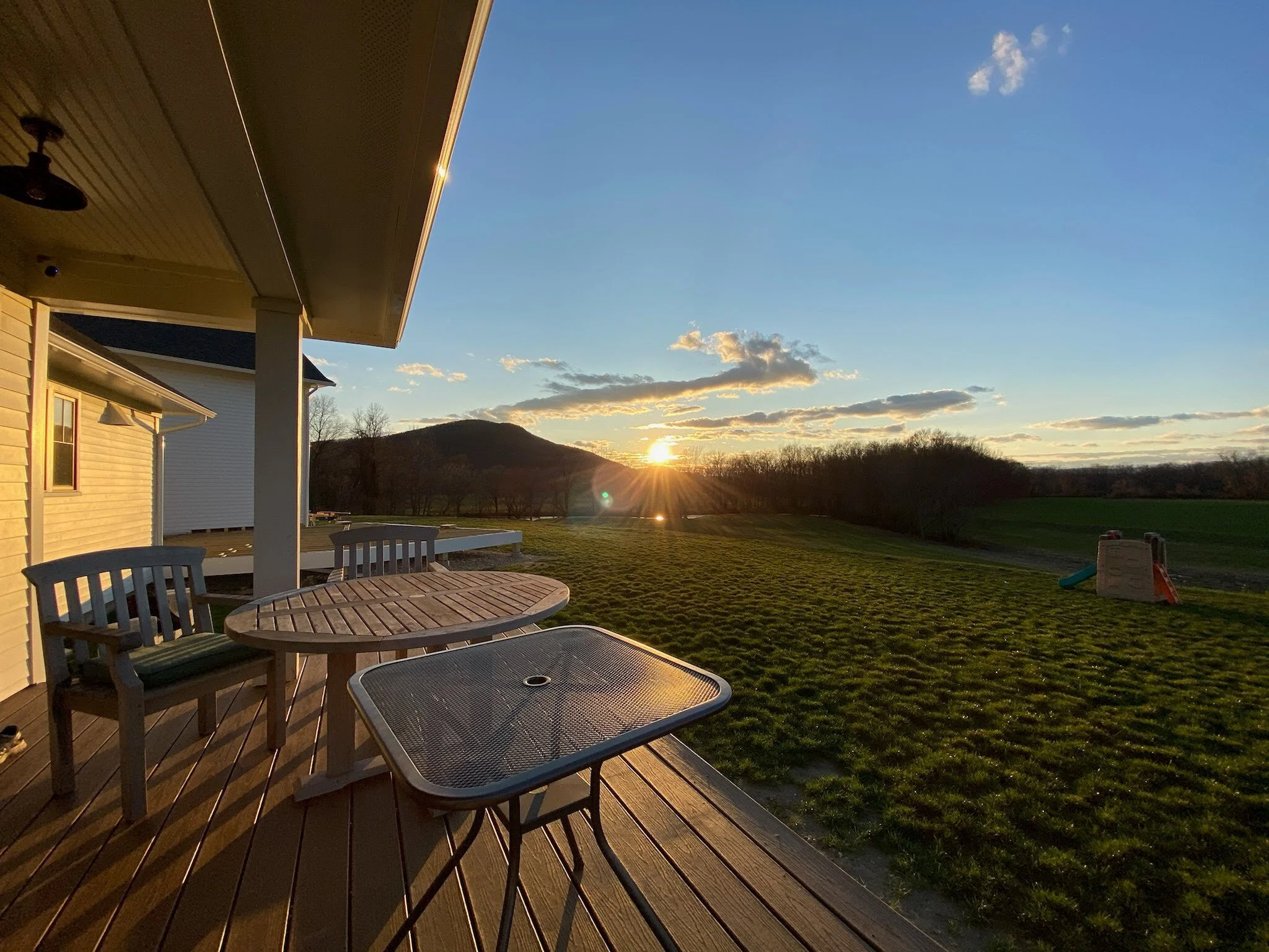 Rare Forms - Design. Build. NetZero