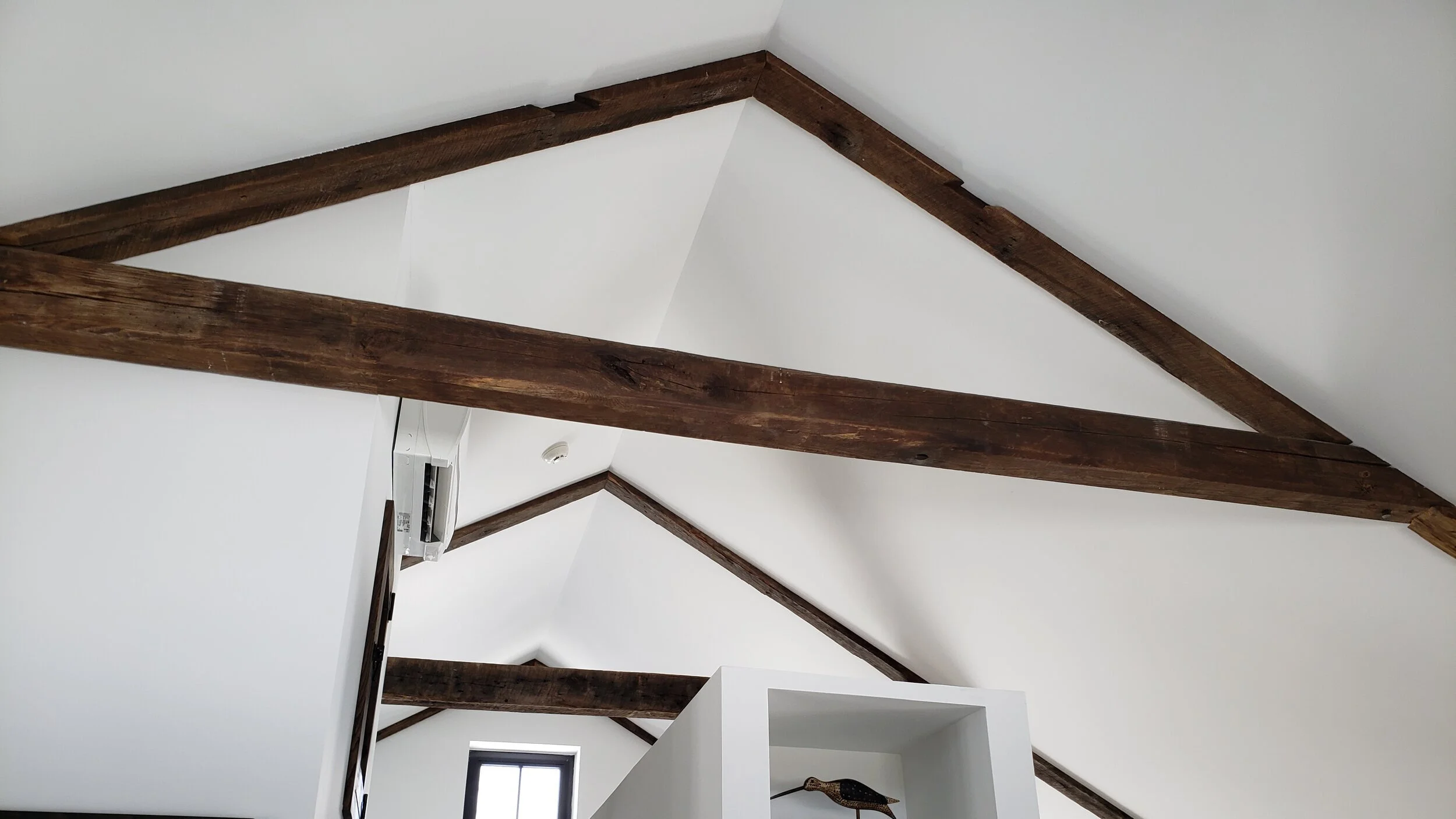 Rare Forms - Locally Grown Homes