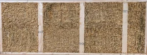 Seed Straw Panels - Rare Forms