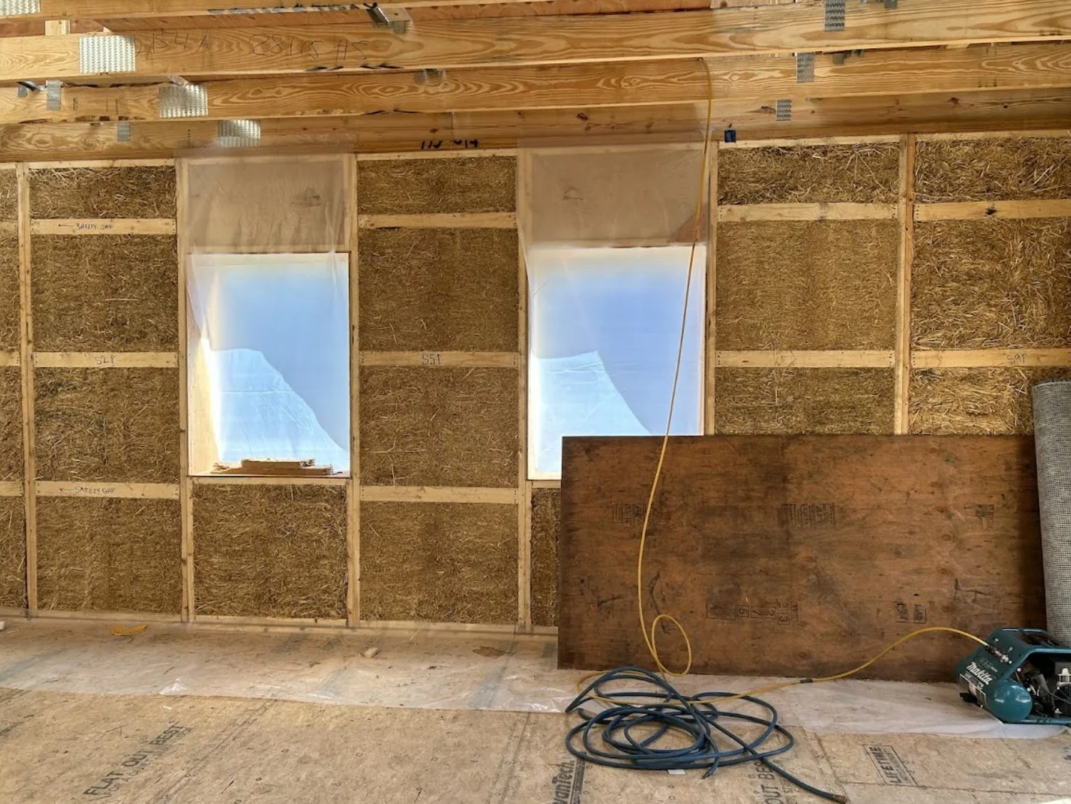 Seed Straw Panels - Rare Forms