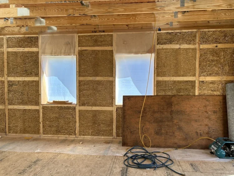 Seed Straw Panels - Rare Forms