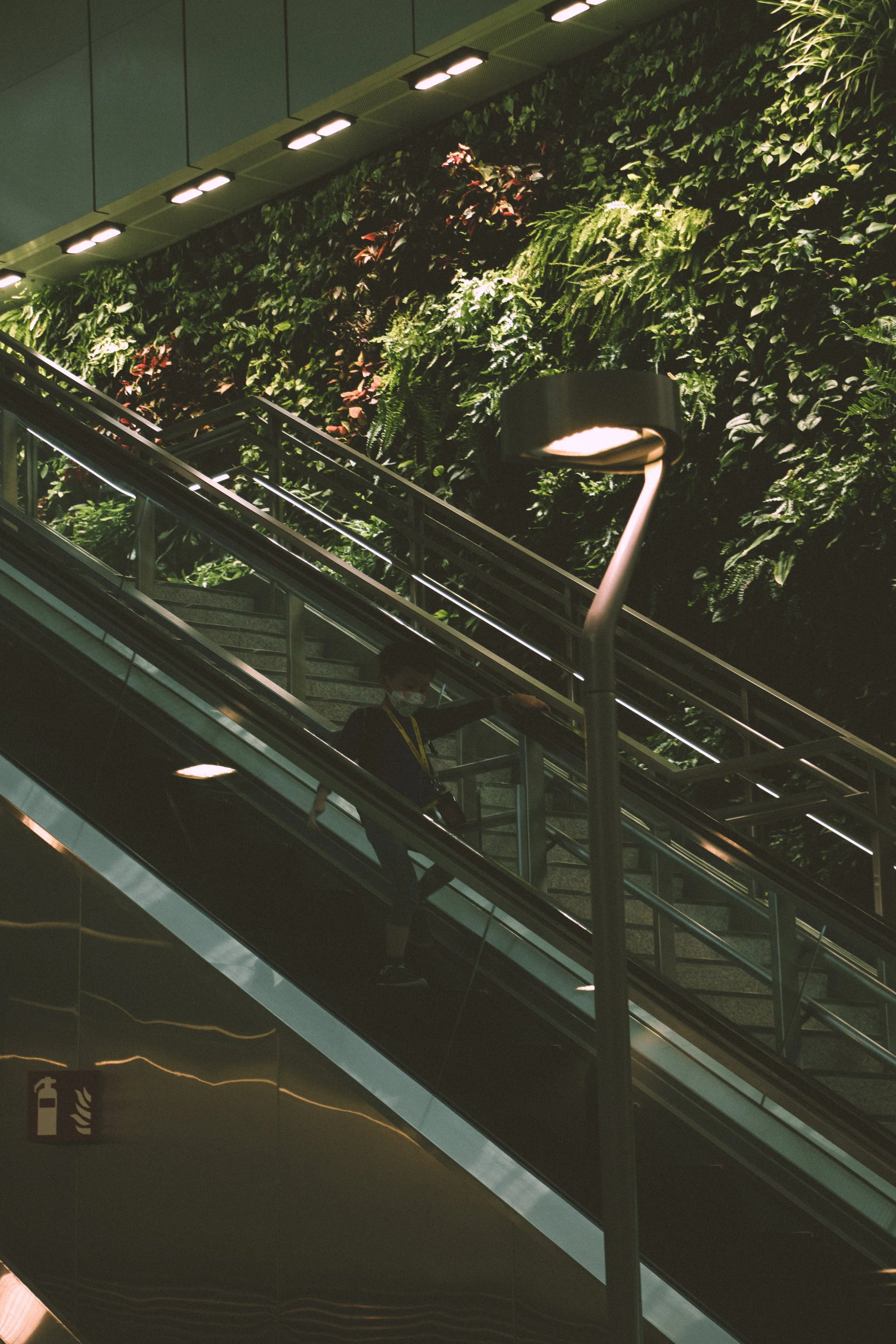 Photo Collection - Singapore MRT (TEL3)