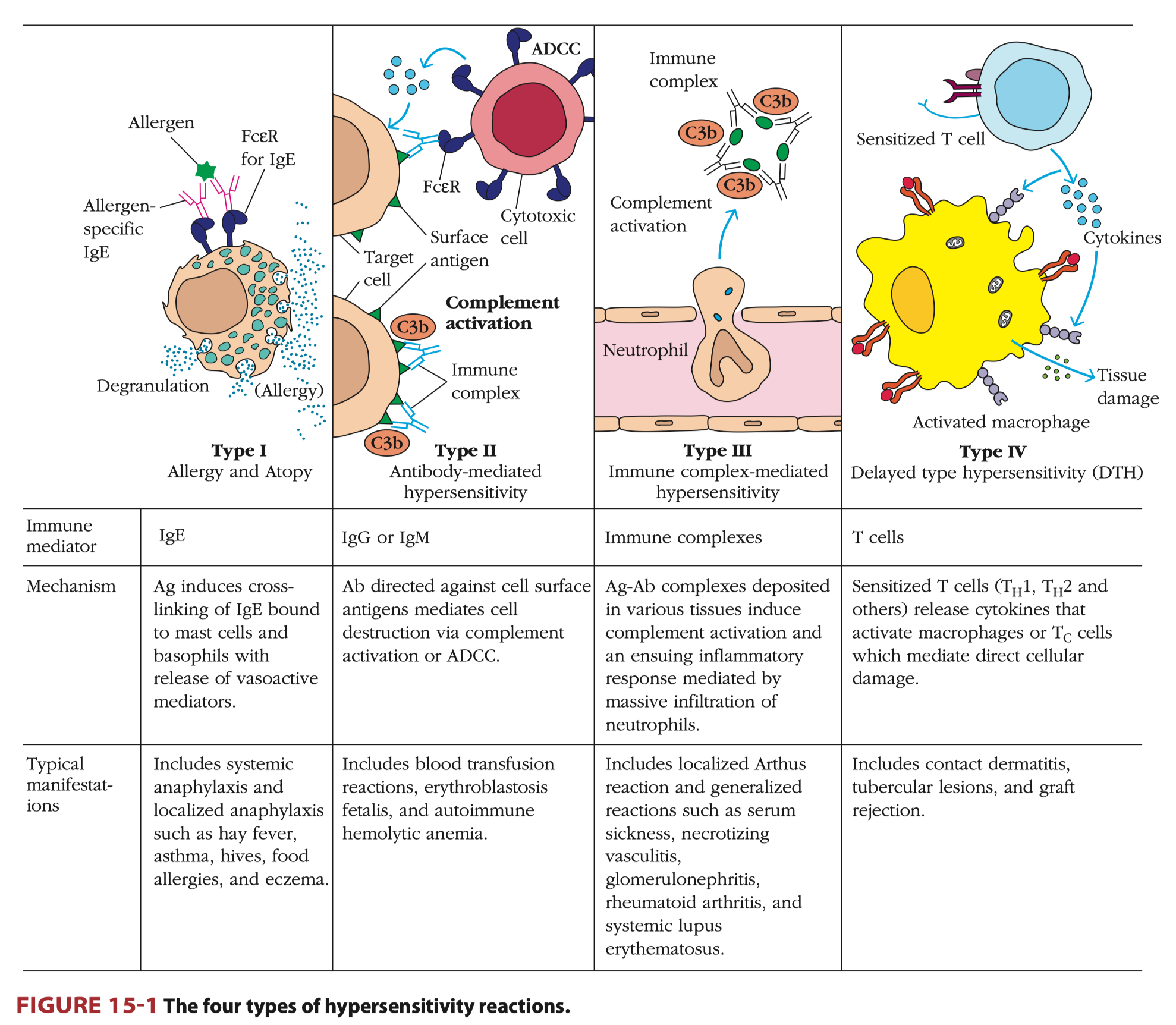 Vaccines and Anaphylaxis: Everything You Ever Wanted To Know ...