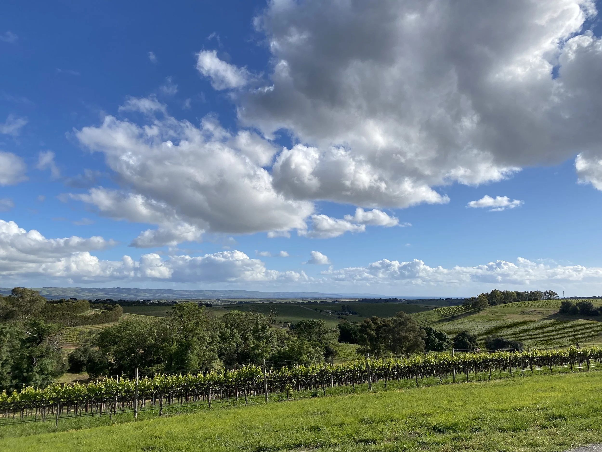 Hancock Insurance Agencies | South Australia