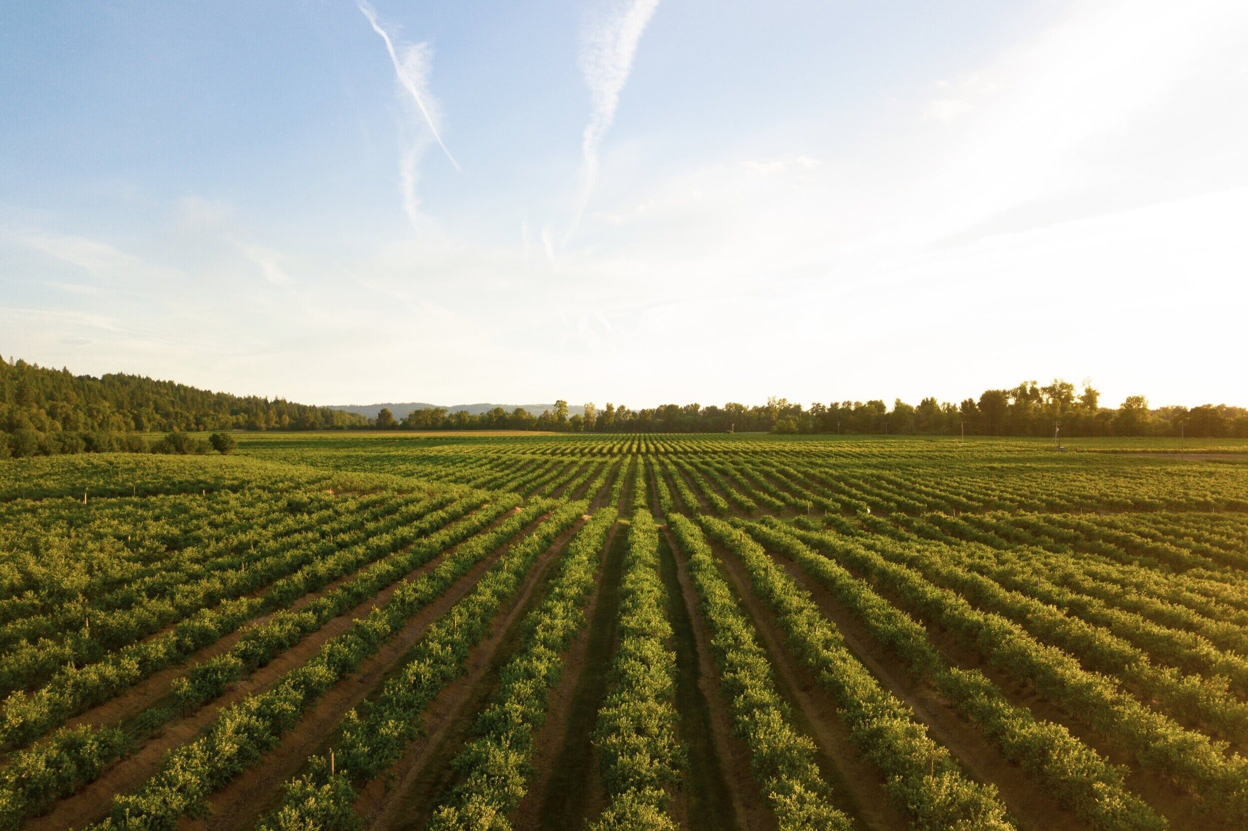 Hancock Insurance Agencies | South Australia