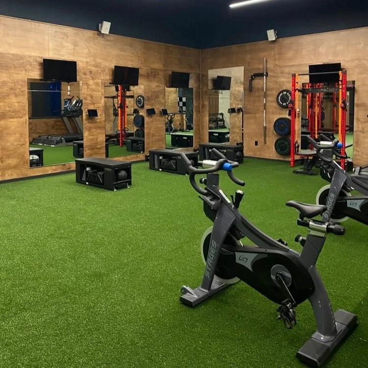 Bach-Fitness. Functional Fitness. H.I.S.T, Bodywork