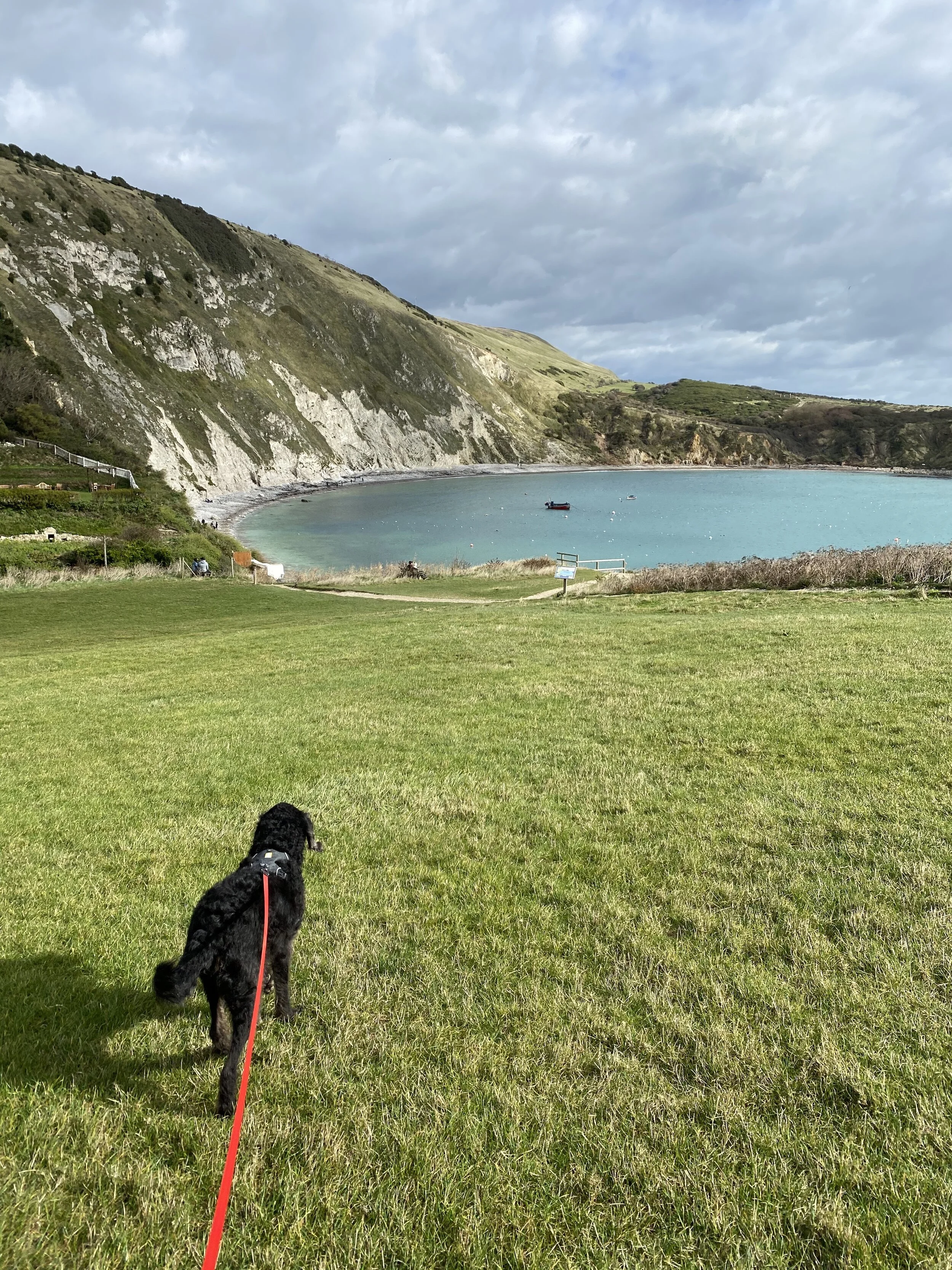 SWCP: West Lulworth to Kimmeridge Bay — soraya.earth