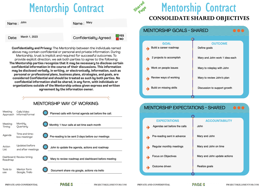 Mentoring for Success — ProjectSkillsMentor | ProjectSkills Mentor