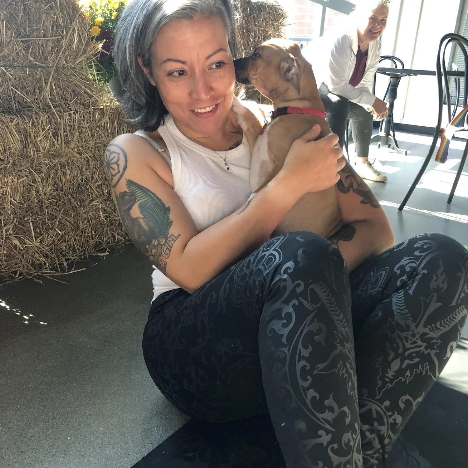 Live Music & Events — Steinhardt Brewing