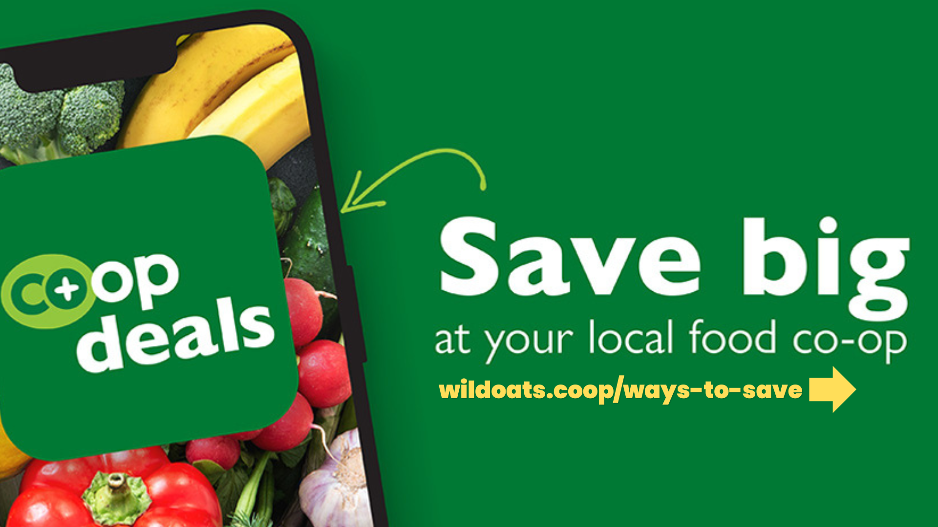 Newsletter: Sept 11th, 2024, 5PM Ed. — Wild Oats Market