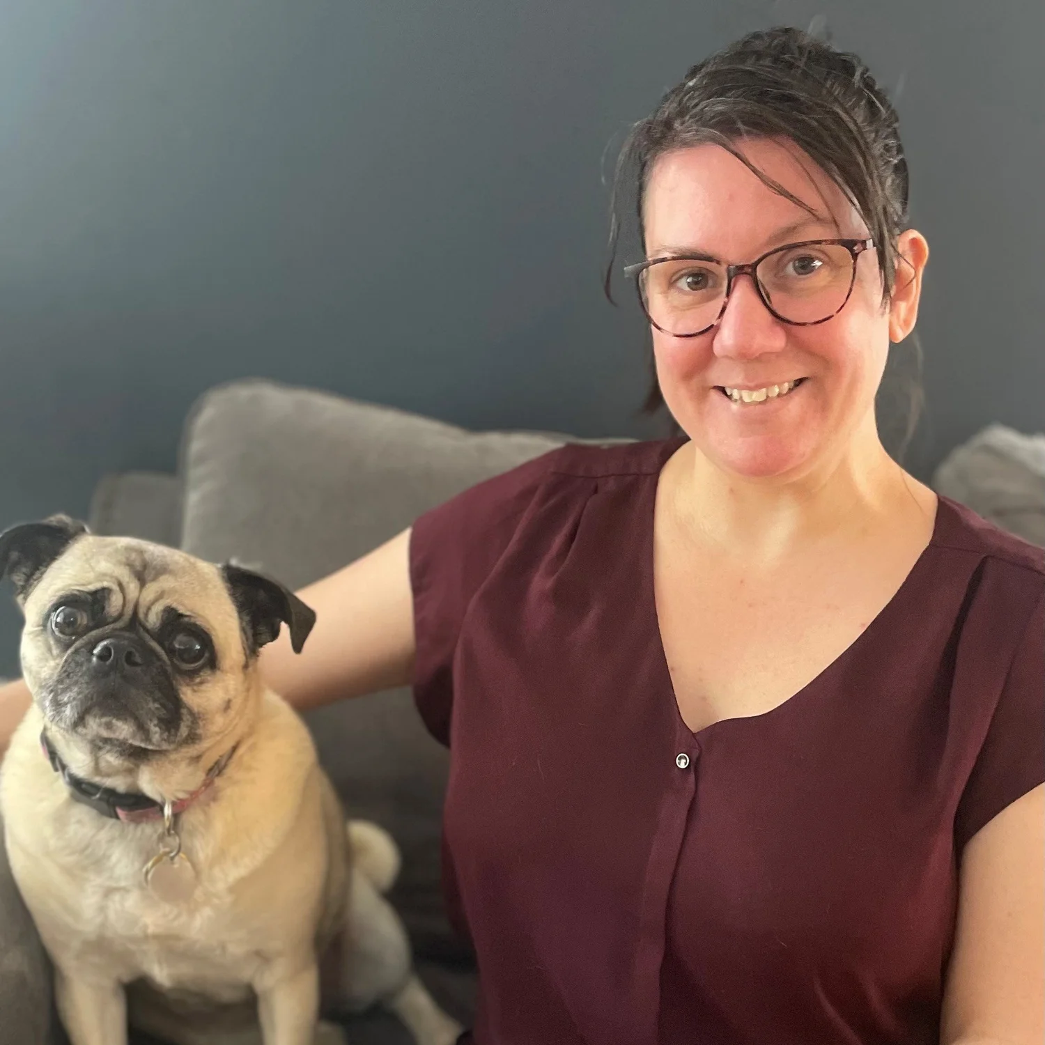 Members — Council of Chief Veterinary Officers