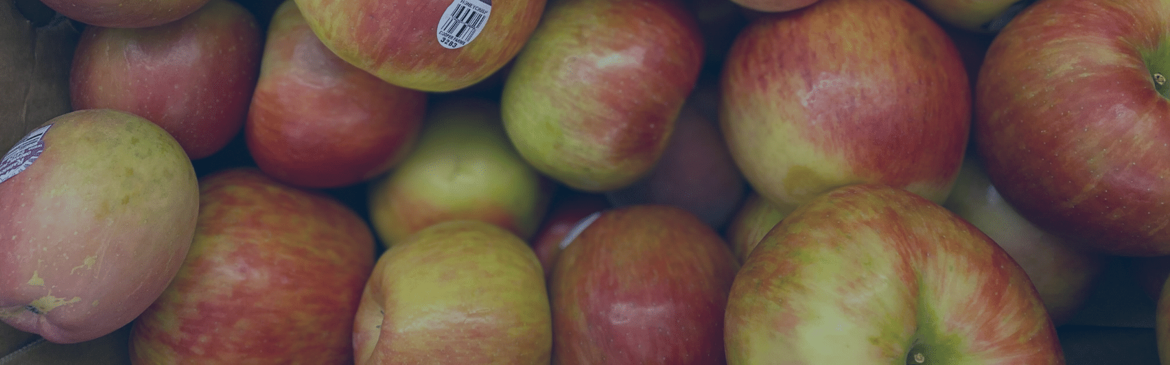 Strategic Plan — Food Link | Food Rescue & Distribution To Those In ...