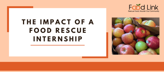 The Impact of a Food Rescue Internship — Food Link | Food Rescue ...