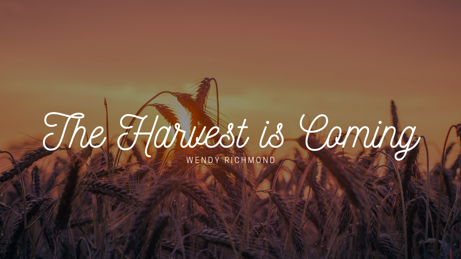 The Harvest is Coming — One Minute Devotions