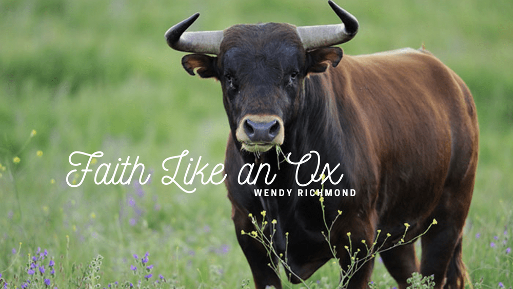 Faith Like an Ox — One Minute Devotions