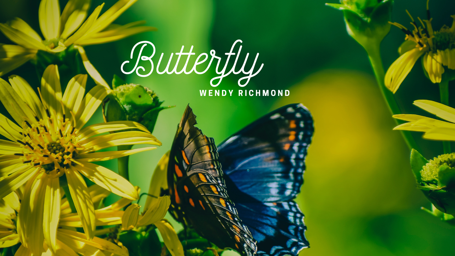 Butterfly — One Minute Devotions