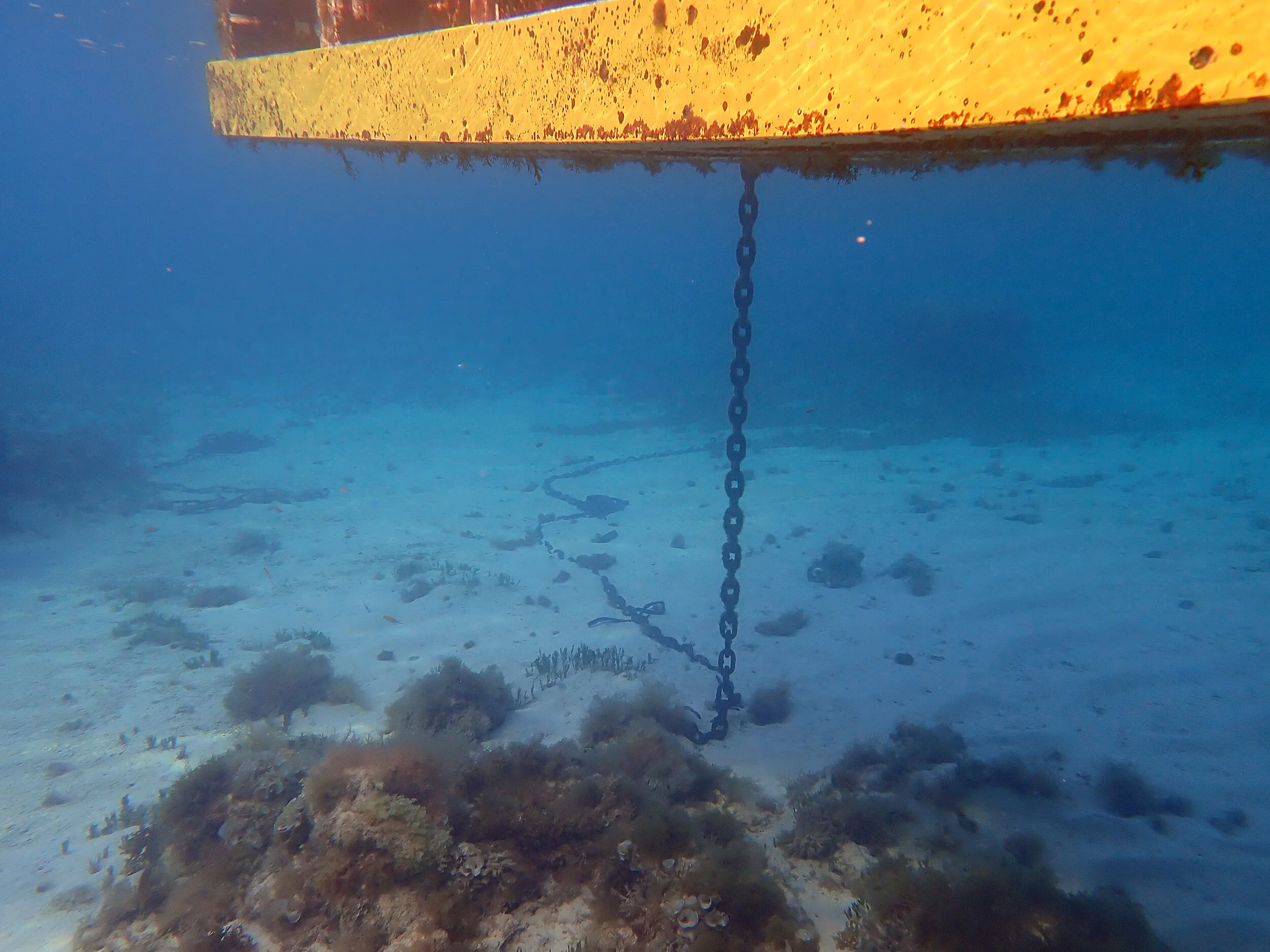The sea-wolves of Emily Bay — Norfolk Island's Reef