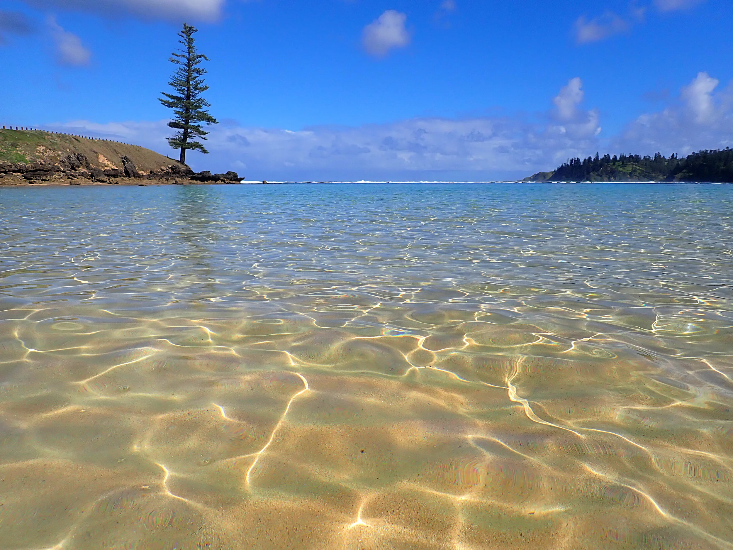 Beneath the waves in Emily Bay, Norfolk Island — Norfolk Island's Reef