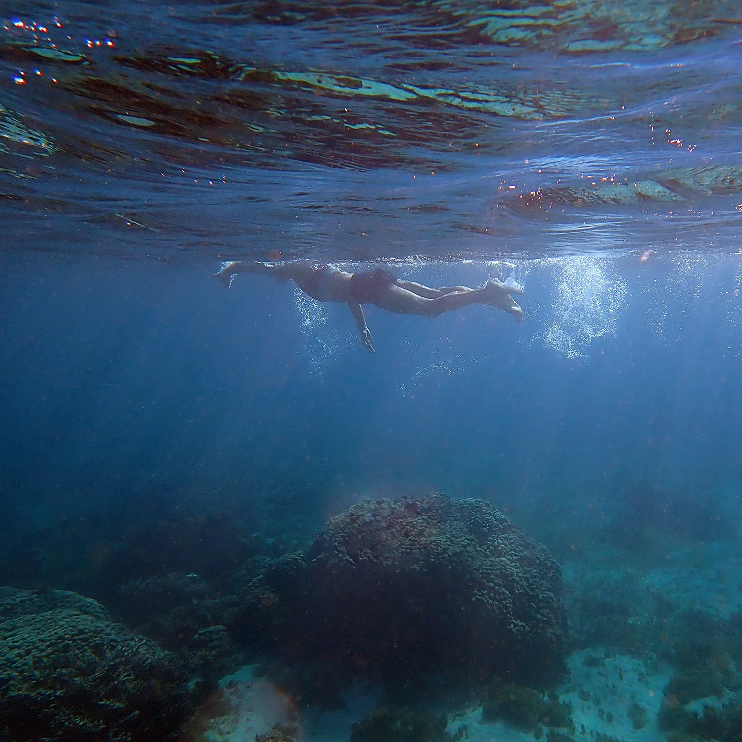 Out on a swim – reflections on wild swimming — Norfolk Island's Reef