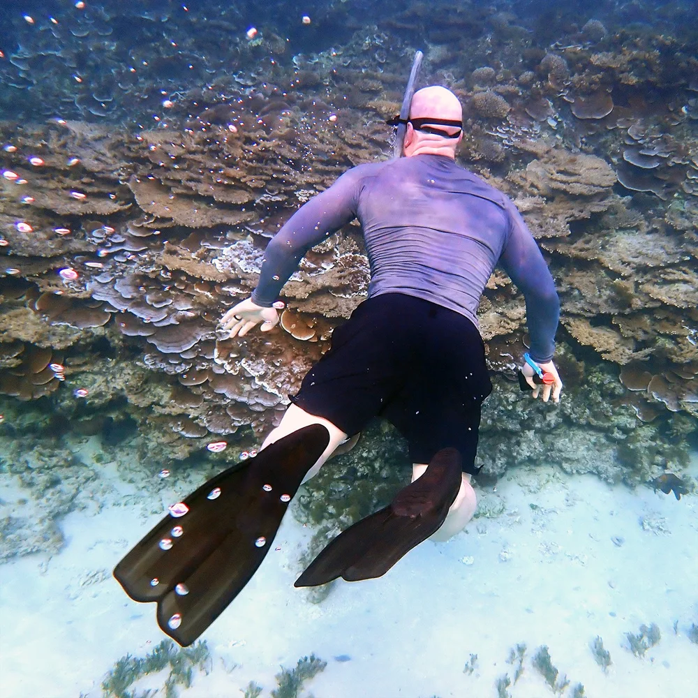 One small fish for one big job — Norfolk Island's Reef