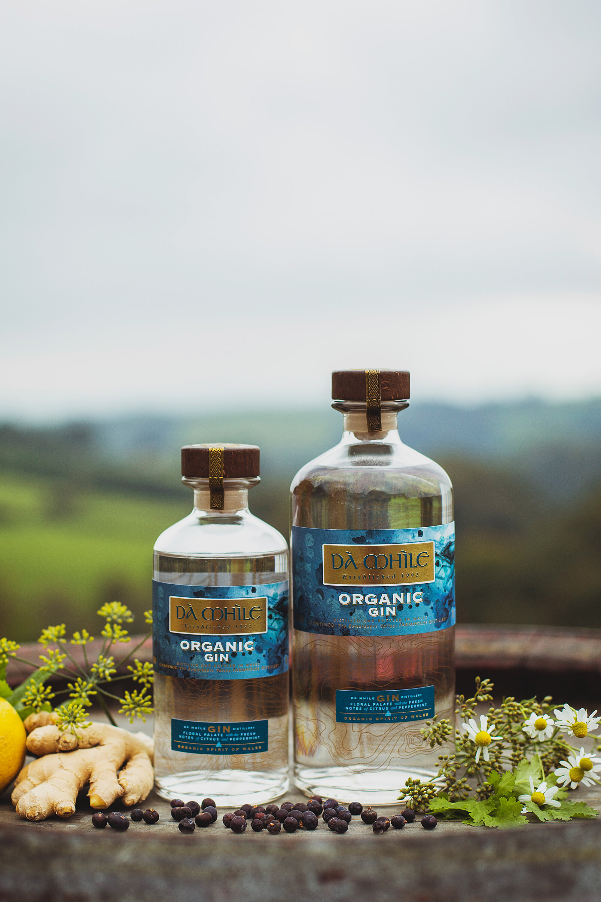 Gin — Shop | Explore Quality Spirits - Shop Now. — Dà Mhìle Distillery