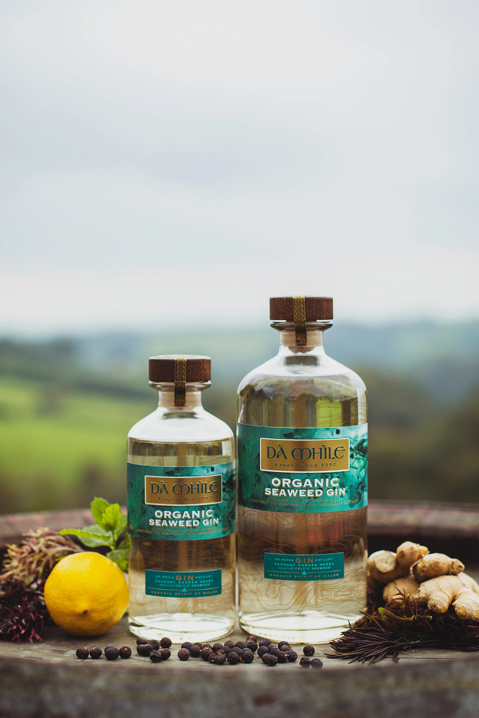 Gin — Shop | Explore Quality Spirits - Shop Now. — Dà Mhìle Distillery