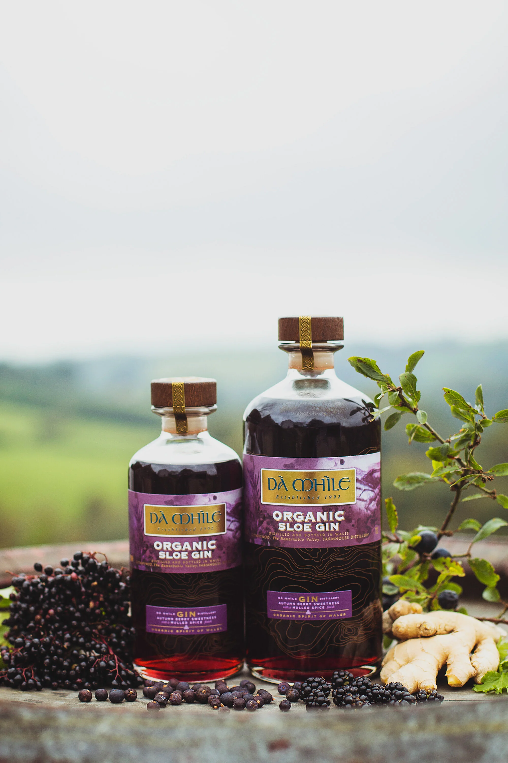 Gin — Shop | Explore Quality Spirits - Shop Now. — Dà Mhìle Distillery