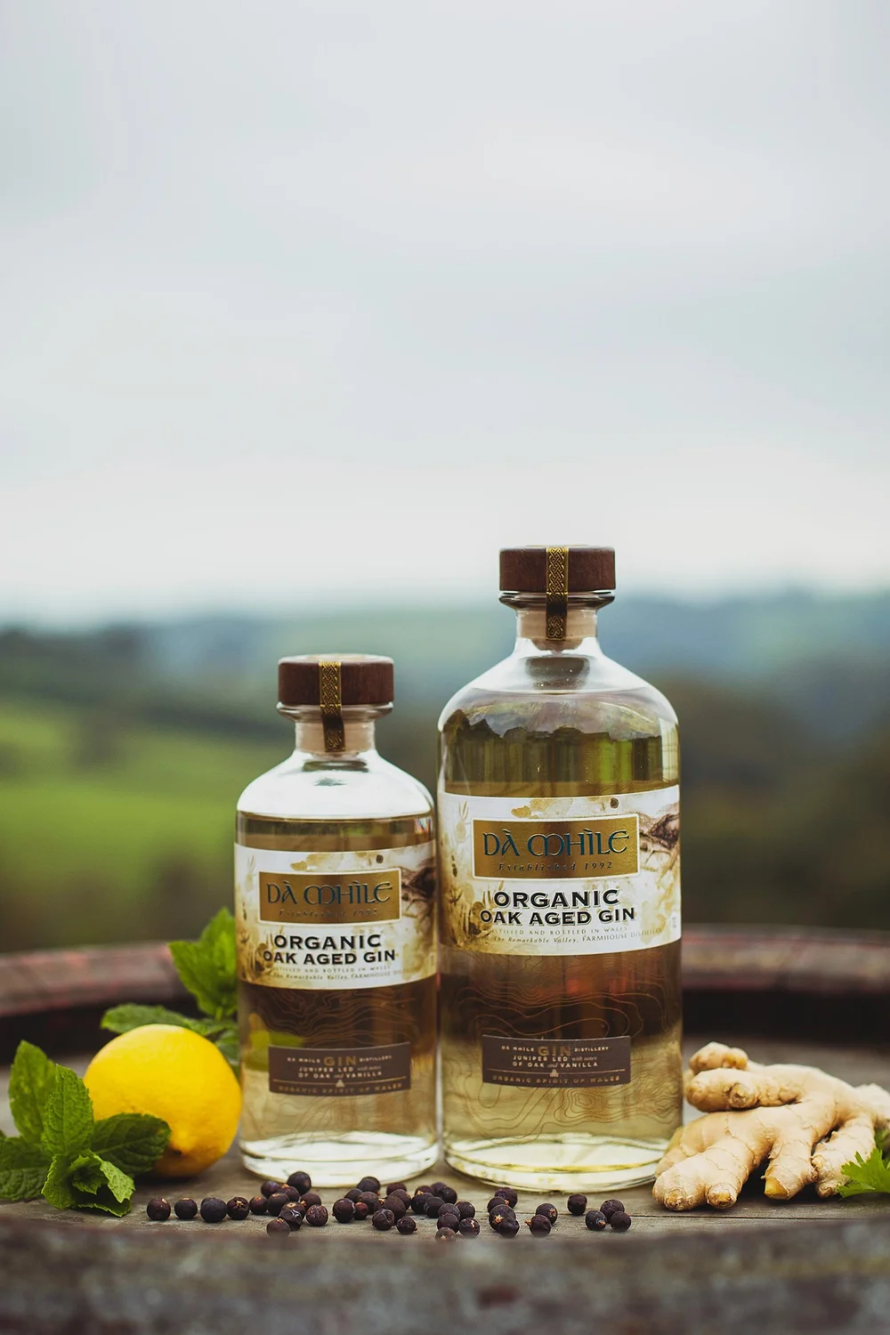 Gin — Shop | Explore Quality Spirits - Shop Now. — Dà Mhìle Distillery
