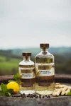 Gin — Shop | Explore Quality Spirits - Shop Now. — Dà Mhìle Distillery