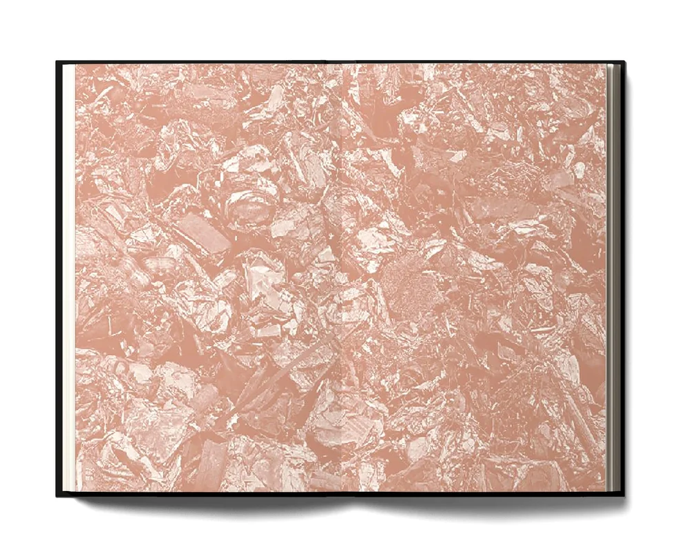 Complexity Photography — DAVID RICCI