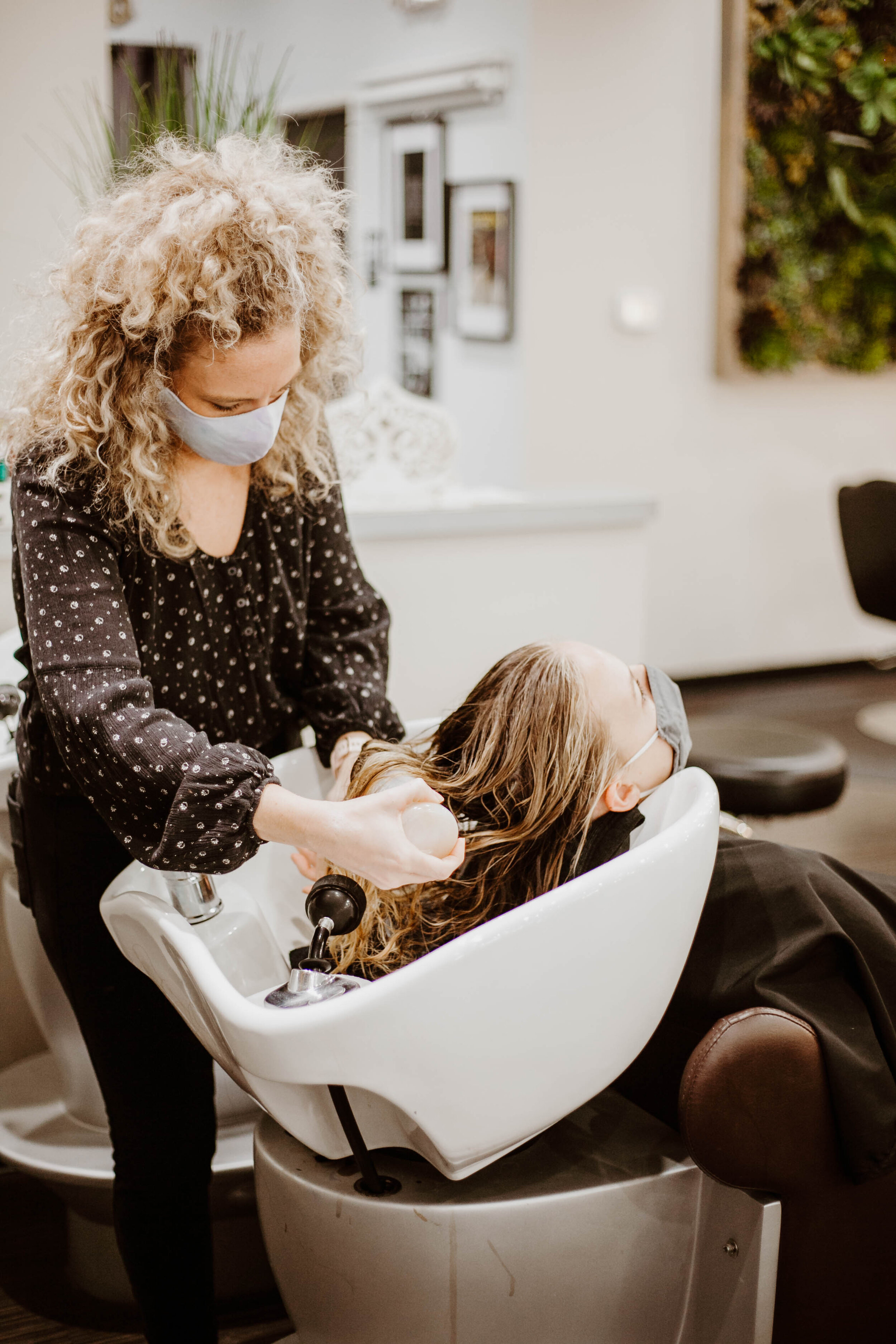 Salon — The Mae