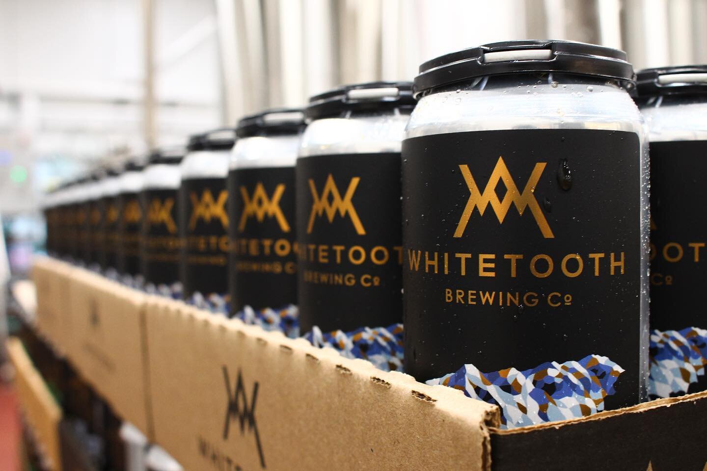 Frequently Asked Questions — Whitetooth Brewing Co.