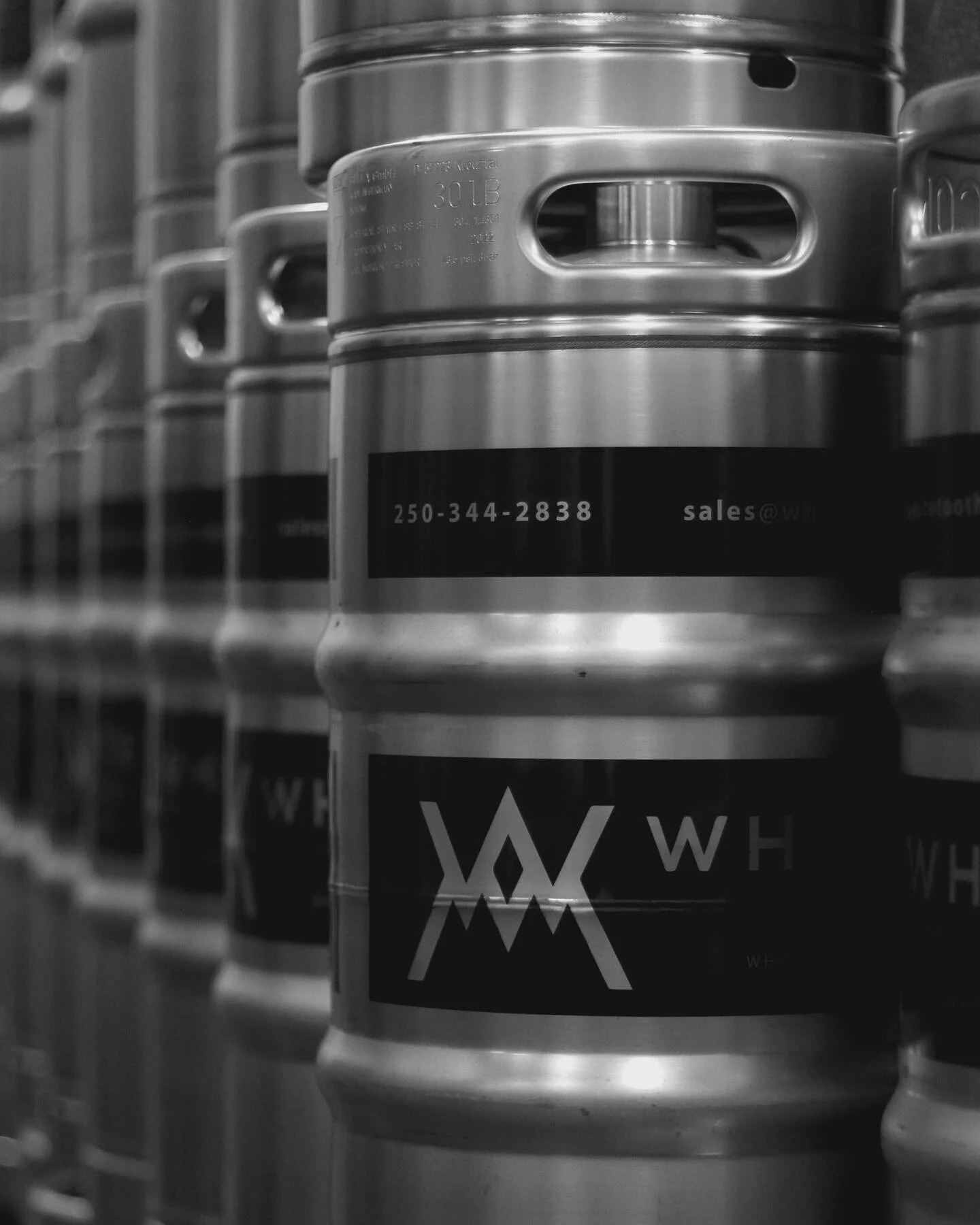 Tasting Room — Whitetooth Brewing Co.