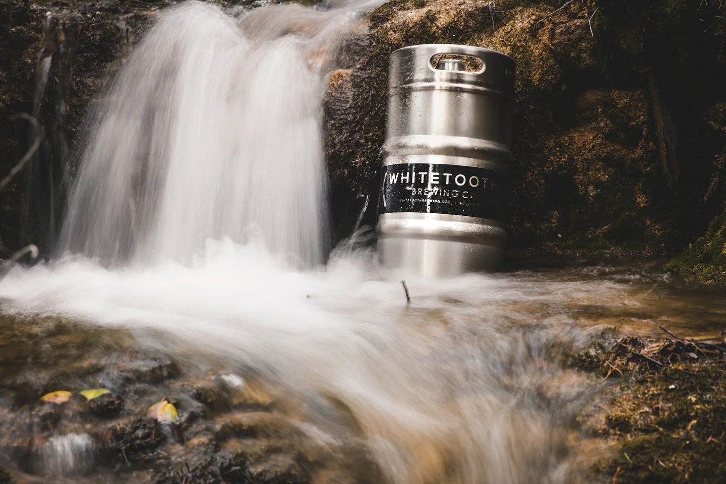 7 YEARS OF BEER — Whitetooth Brewing Co.